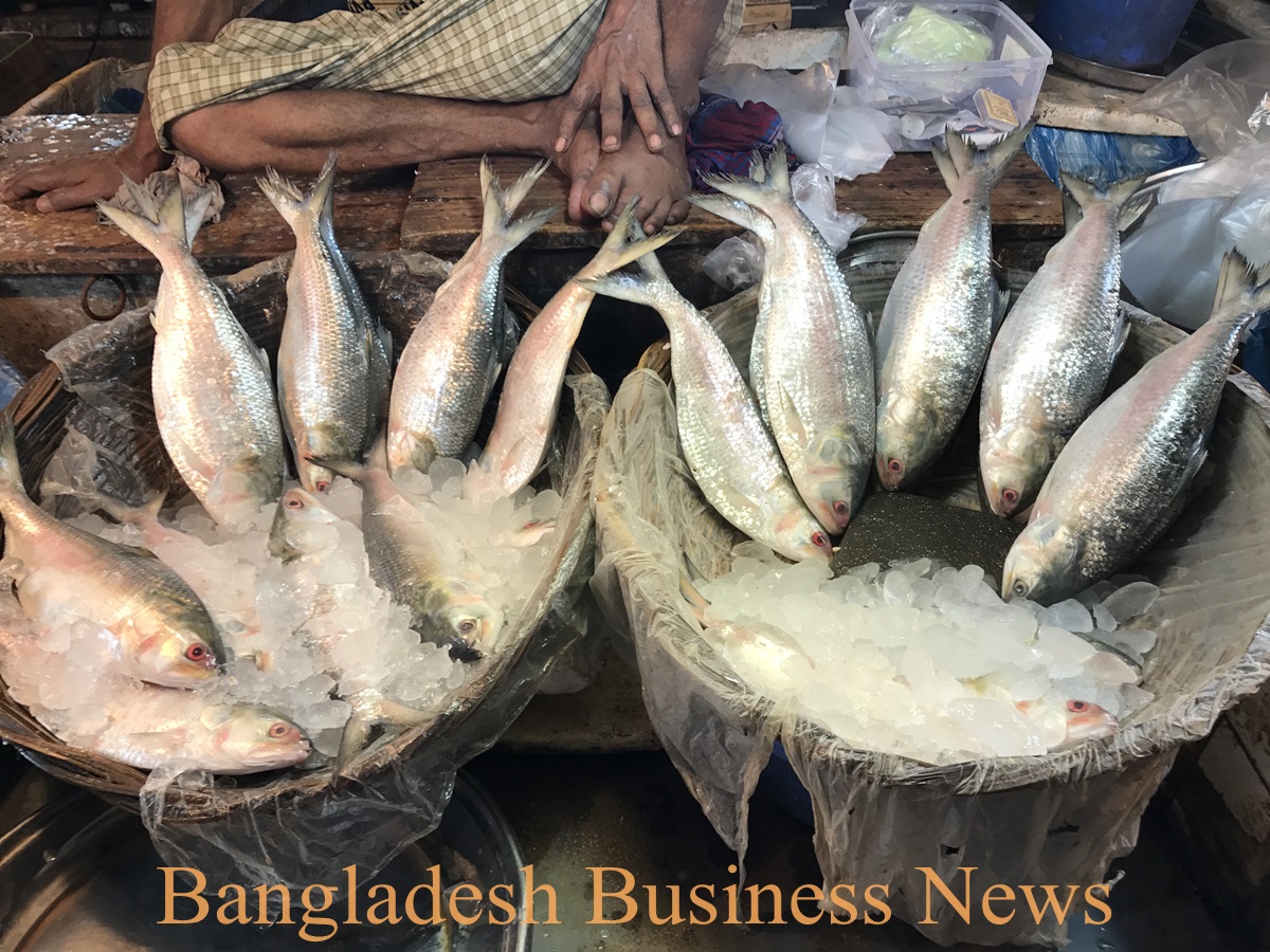 Bangladesh Business News - Bangladesh Business News
