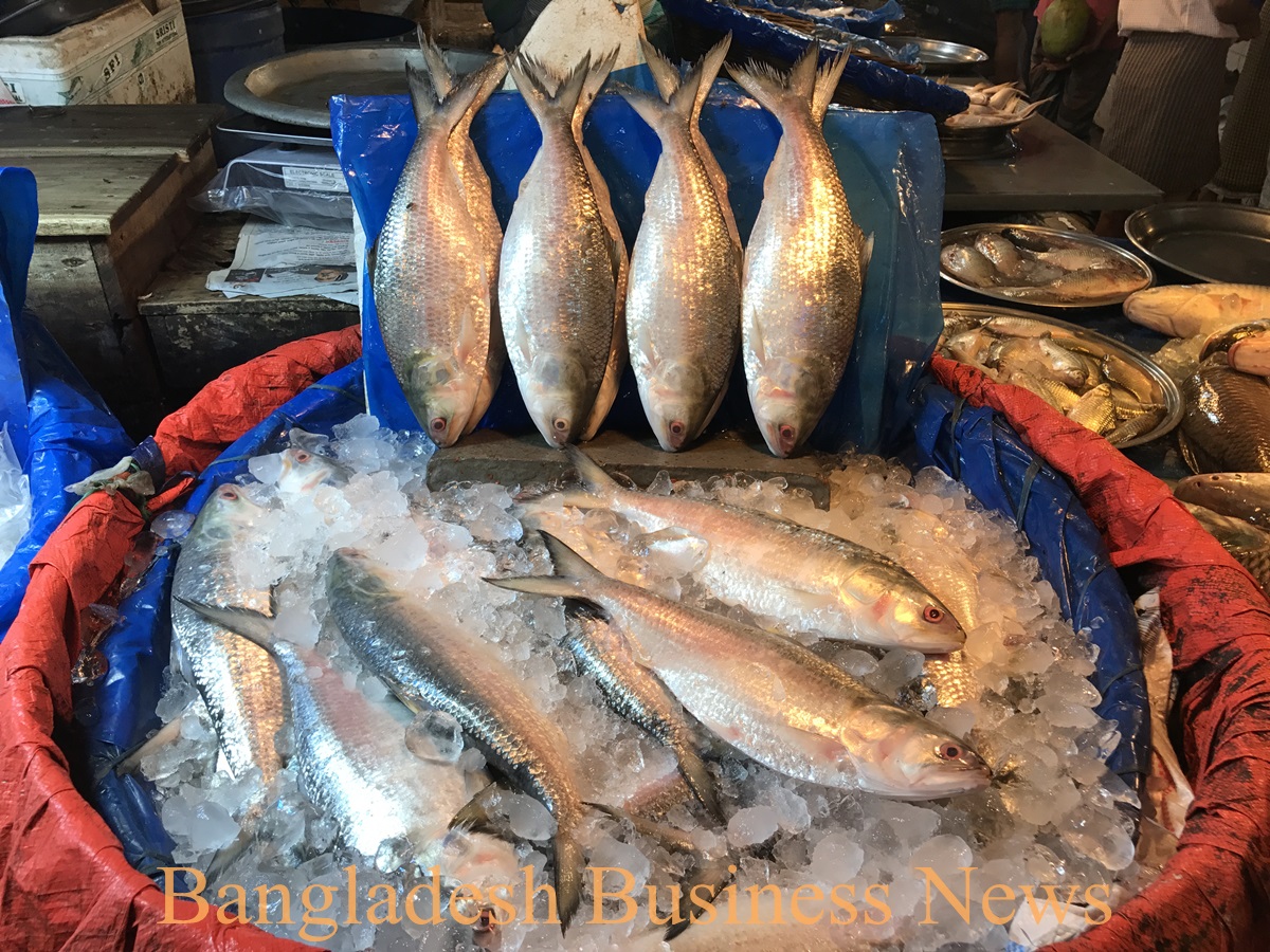 Bangladesh Business News - Bangladesh Business News